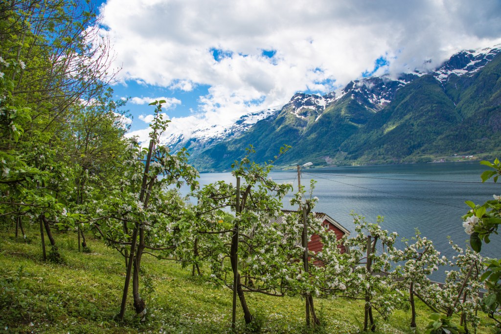 April 2025 - Høye temperaturer i sør, men kjølig i nord - Værstat